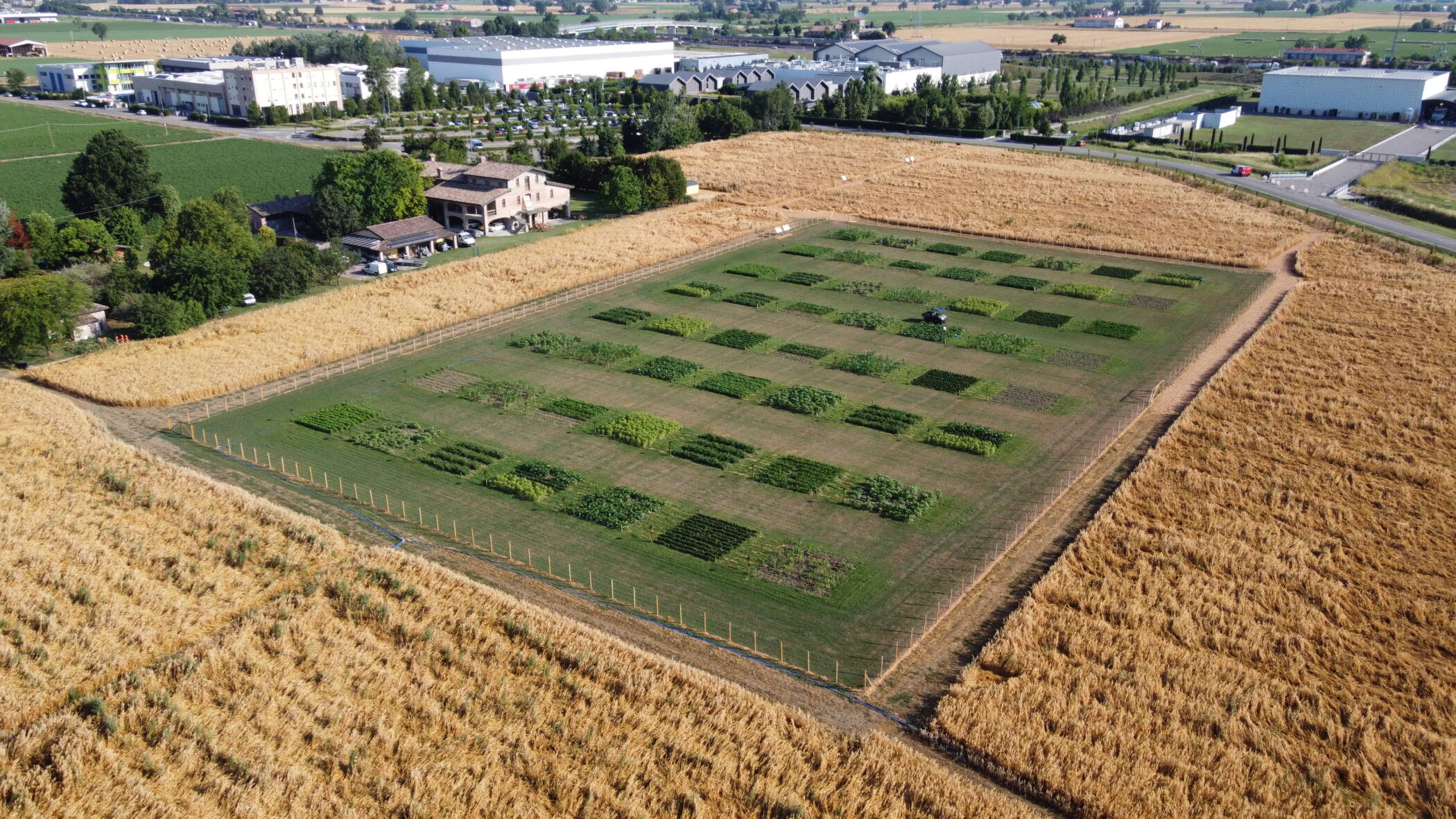 Davines North America and Rodale Institute Launch The Good Farmer Award ...