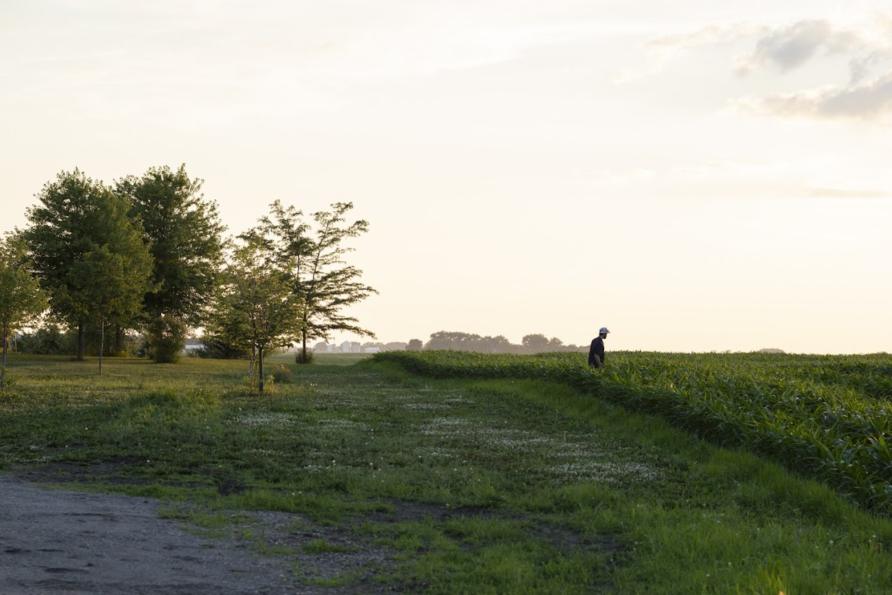 Regenerative Catalyst Fund - Rodale Institute