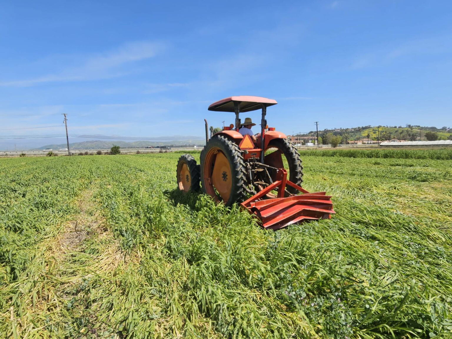 Assessing Cover Crop Biomass and Roller Crimper Technology for ...