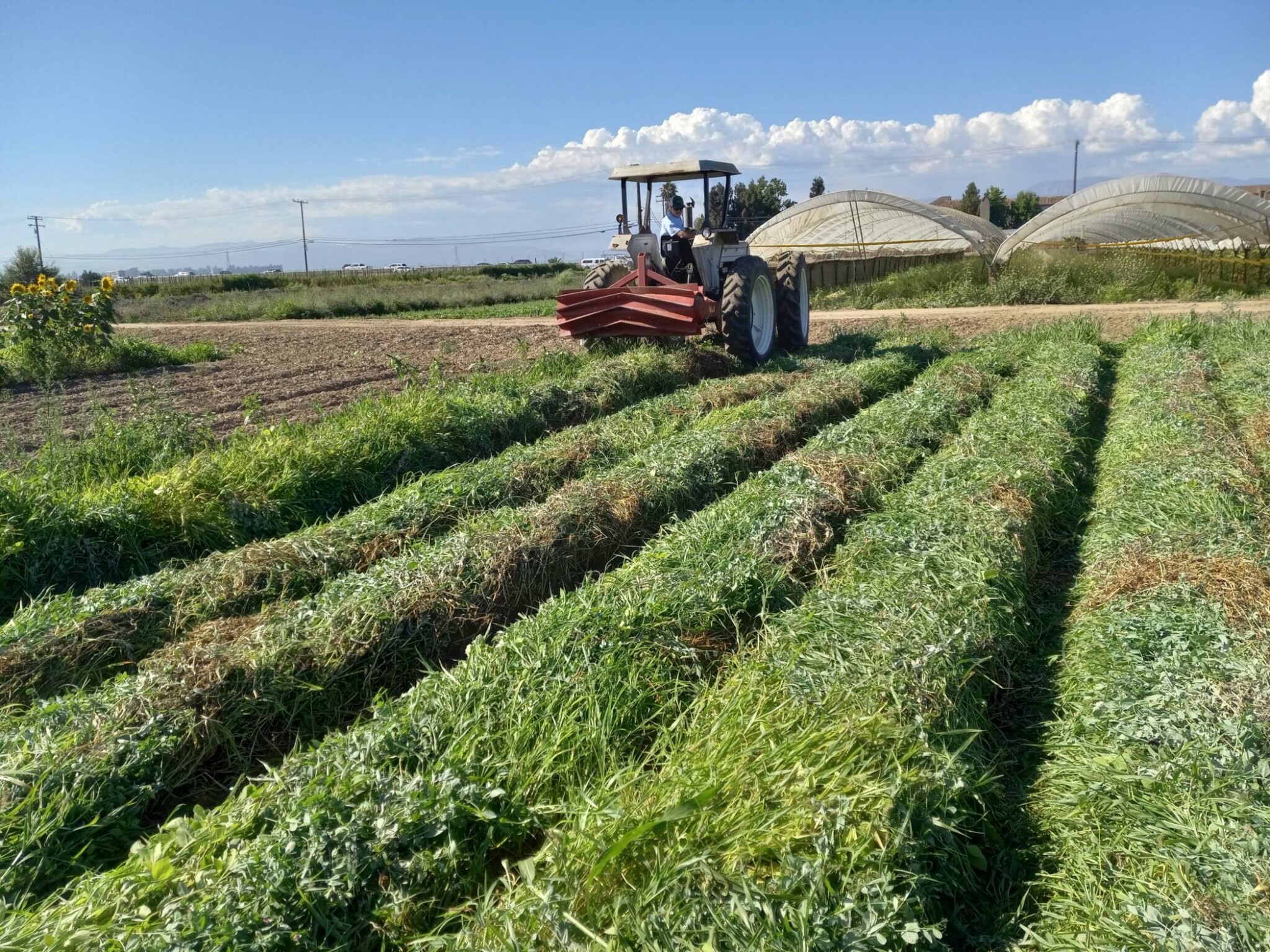 Rodale Institute California Organic Center - Rodale Institute