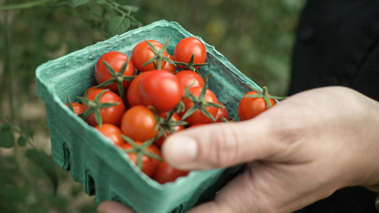 The Top 10 Countries for Sustainable Food - Rodale Institute