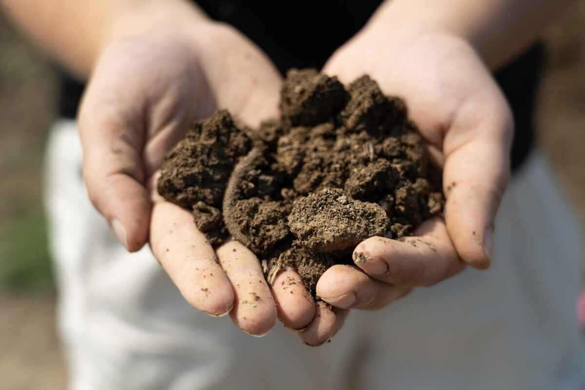 Webinars - Rodale Institute