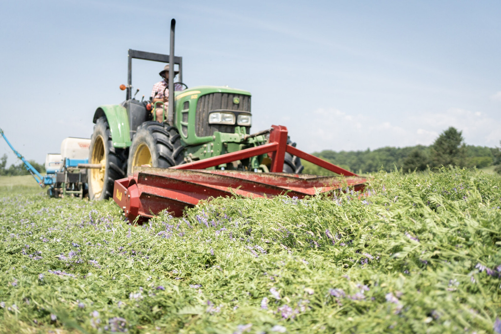Field Walk: Organic Dry Beans: Roller-Crimper Research & Market ...