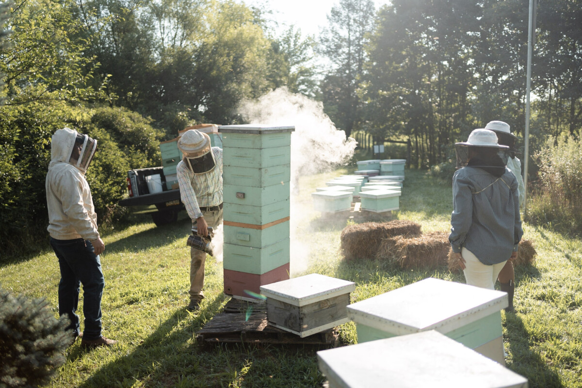 Workshops - Rodale Institute