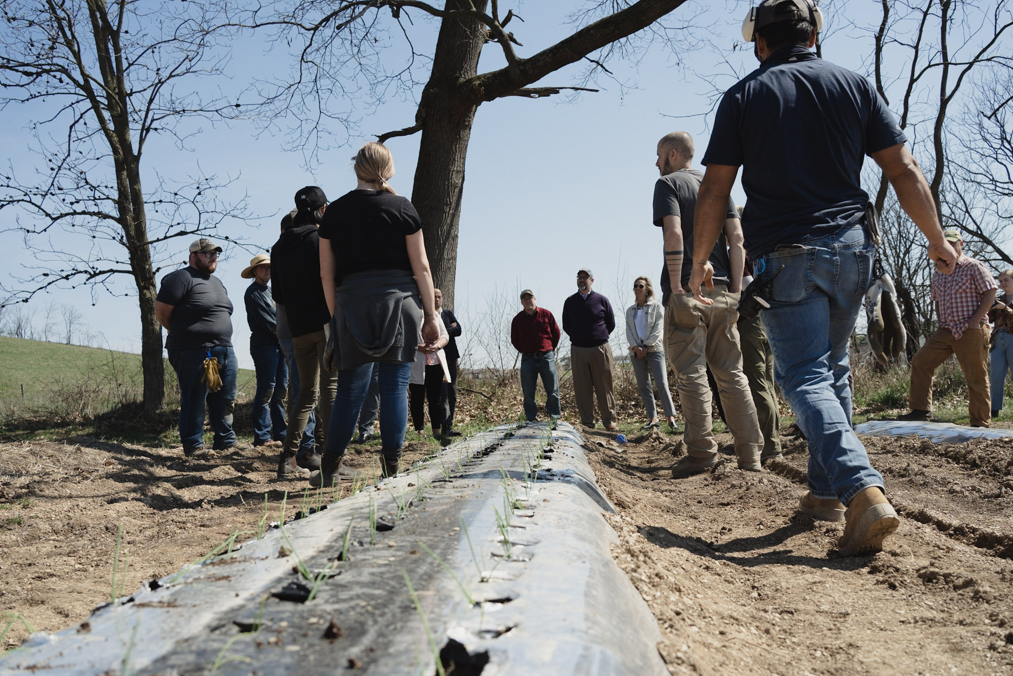 Rodale Institute, KWU and Quail Creek Family Farms Partner to Expand ...