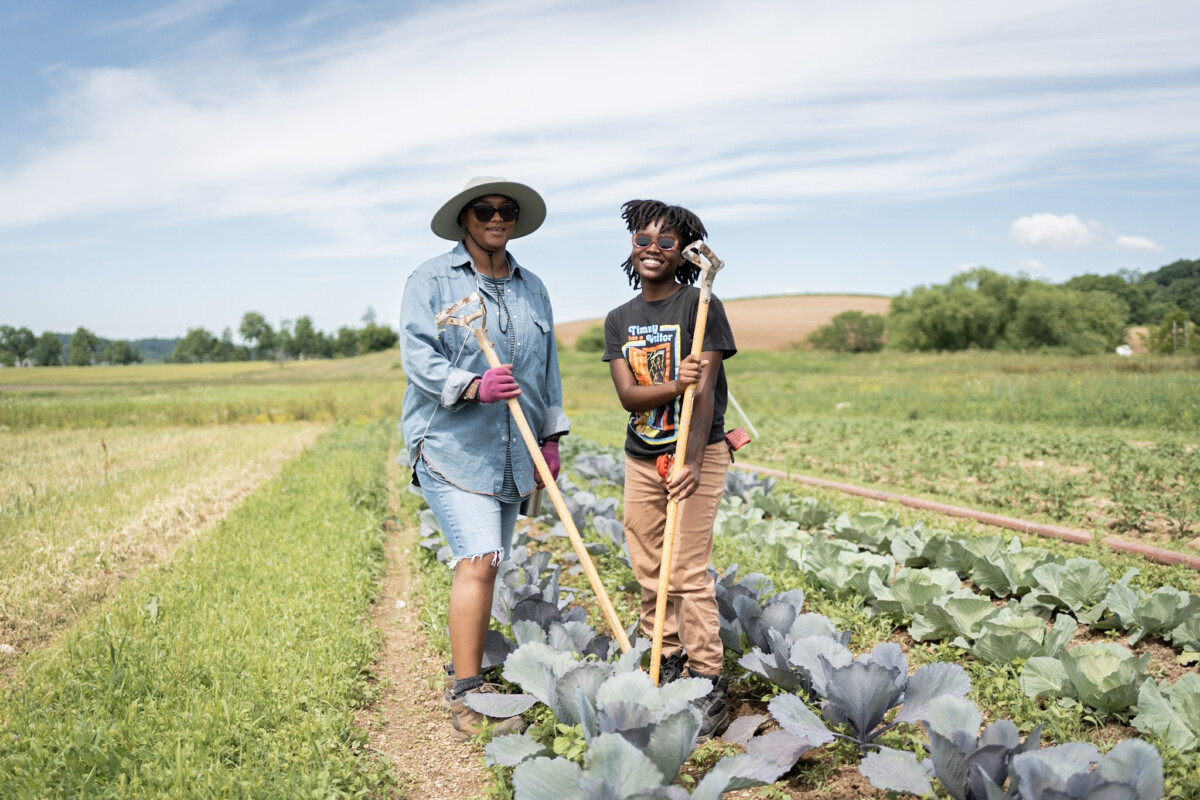 Webinar: Farmer Training Programs Overview - Rodale Institute
