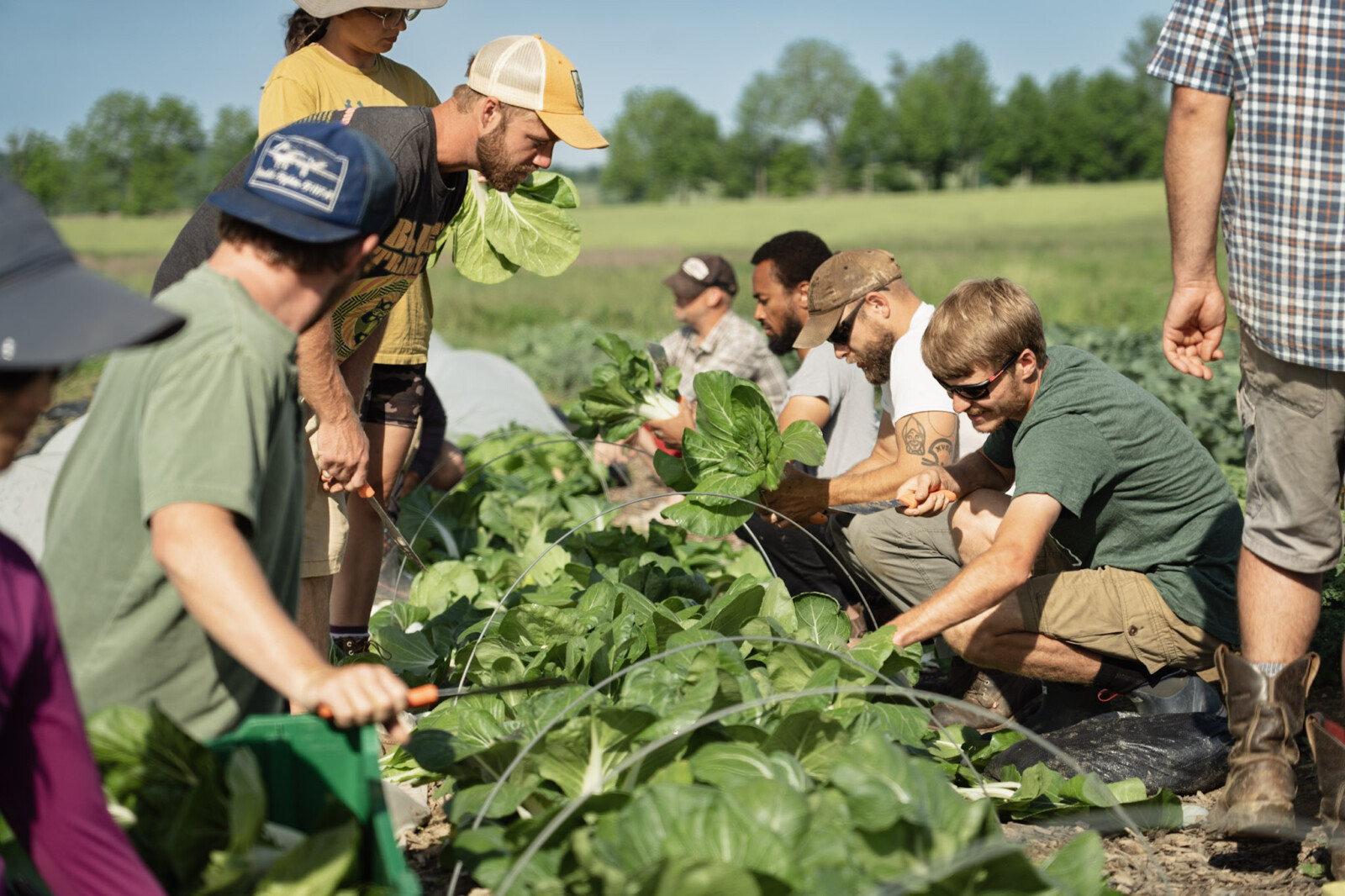 Davines América del Norte y Rodale Institute Lanzamiento del premio The ...