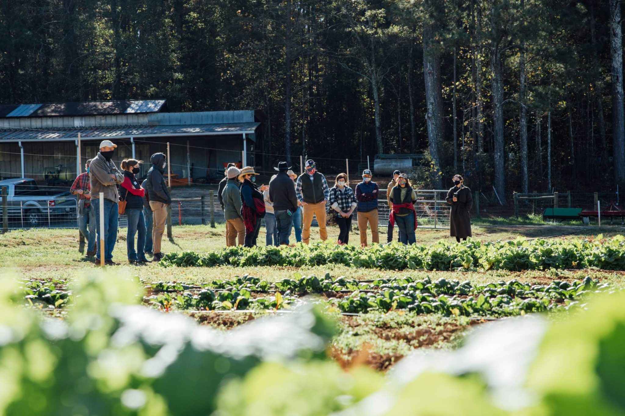 2020 Impact Report: Rodale Institute Regional Resource Centers