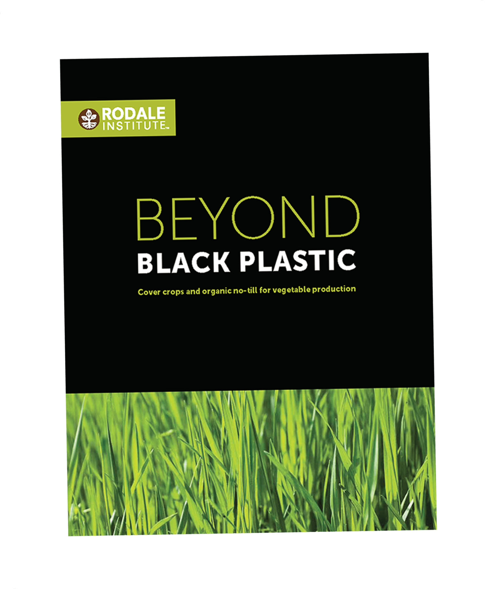 Beyond Black Plastic - Rodale Institute
