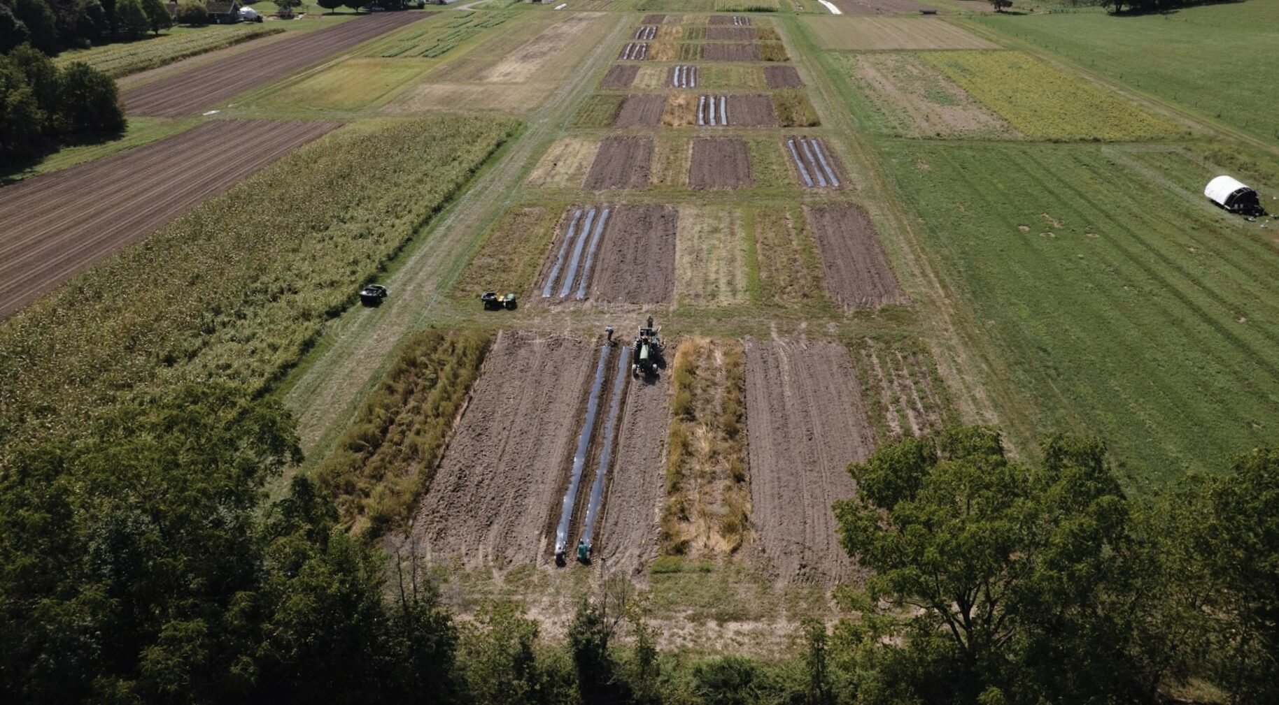 Variation in Phytonutrient Levels in Butternut Wintersquash with ...