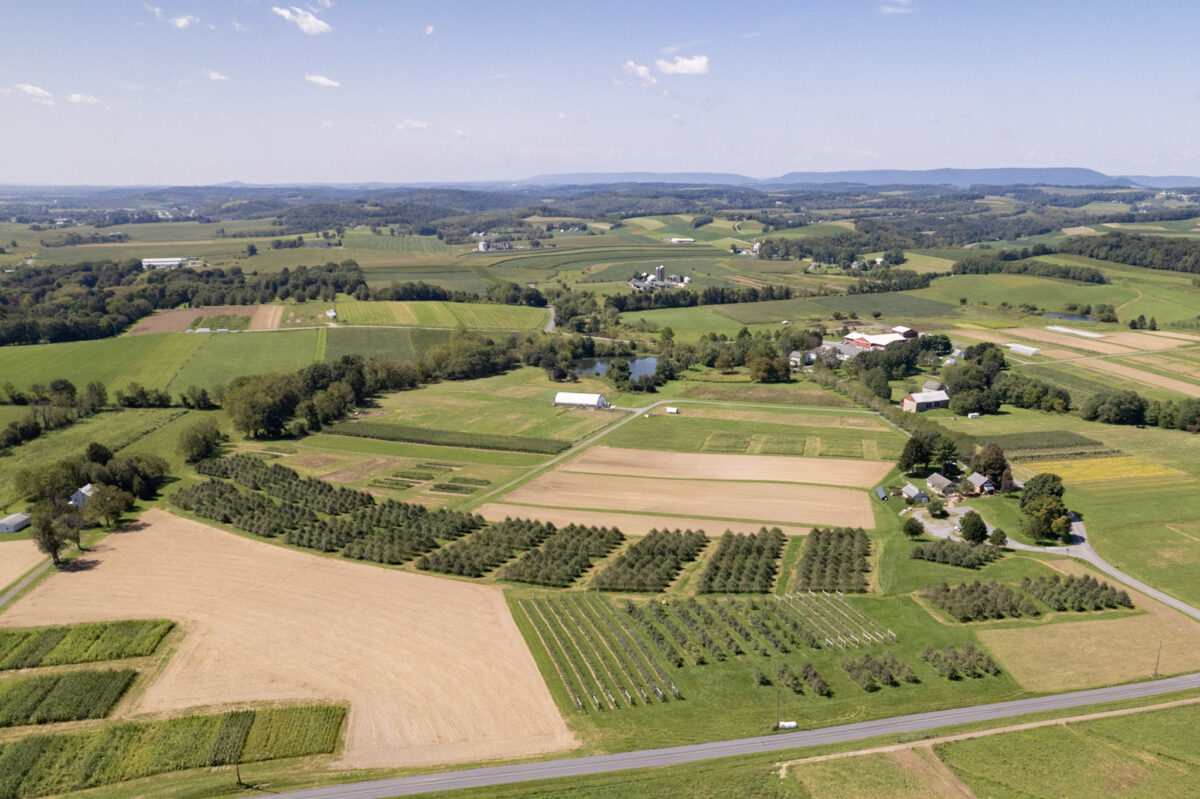 75 Years of Organic Leadership - Rodale Institute
