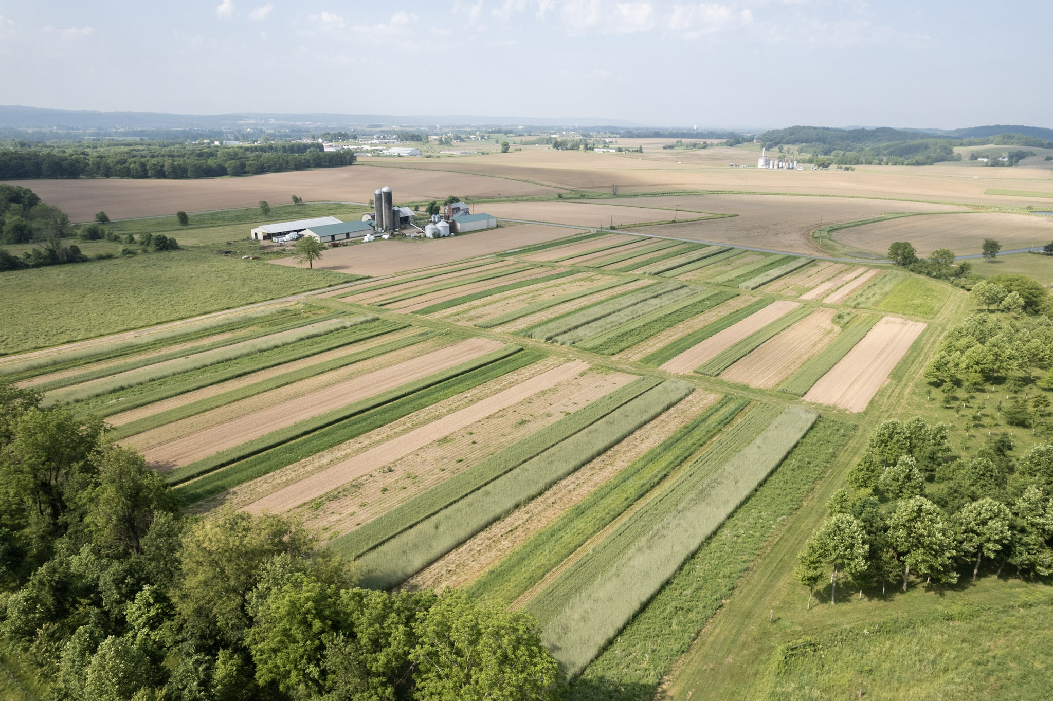 The Farming Systems Trial: A Legacy - Rodale Institute