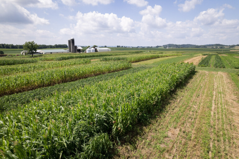 Crop Rotations - Rodale Institute