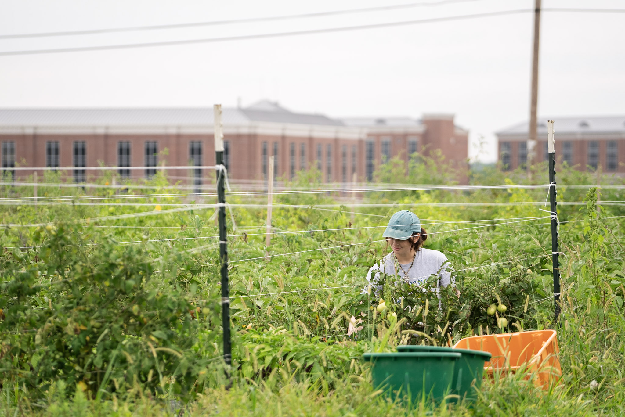 St. Luke's-Rodale Institute Organic Farm - Rodale Institute
