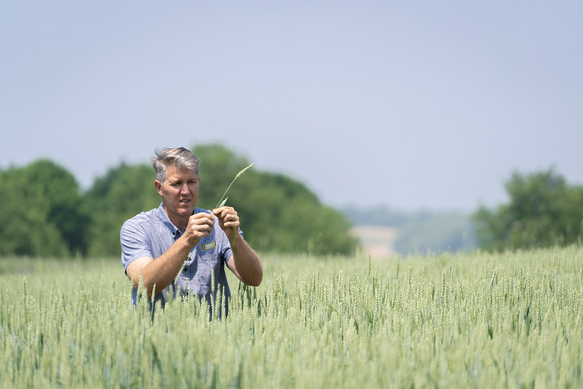 Nuevo informe identifica el impacto “tóxico” de la agricultura sin ...