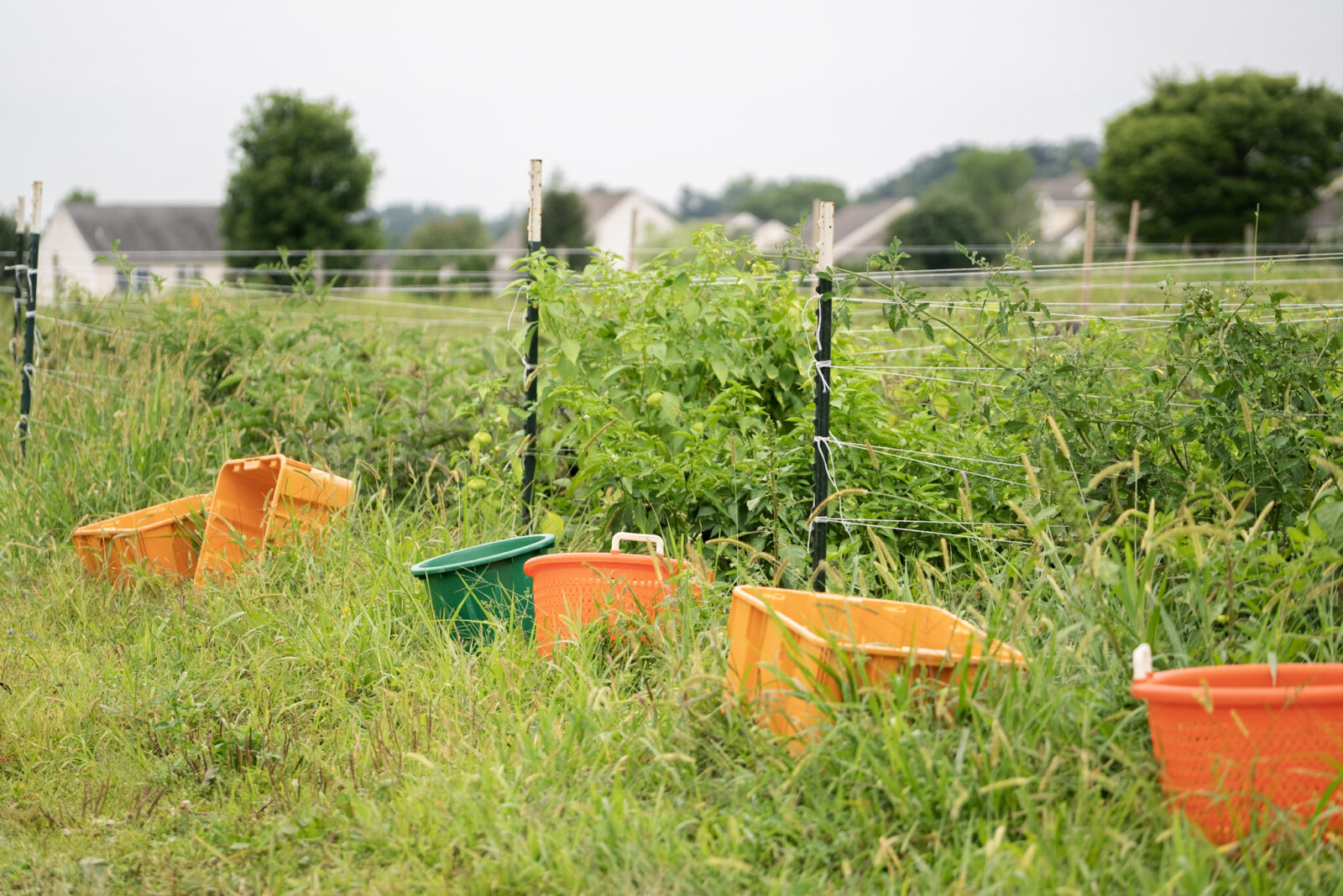 St. Luke's-Rodale Institute Organic Farm - Rodale Institute
