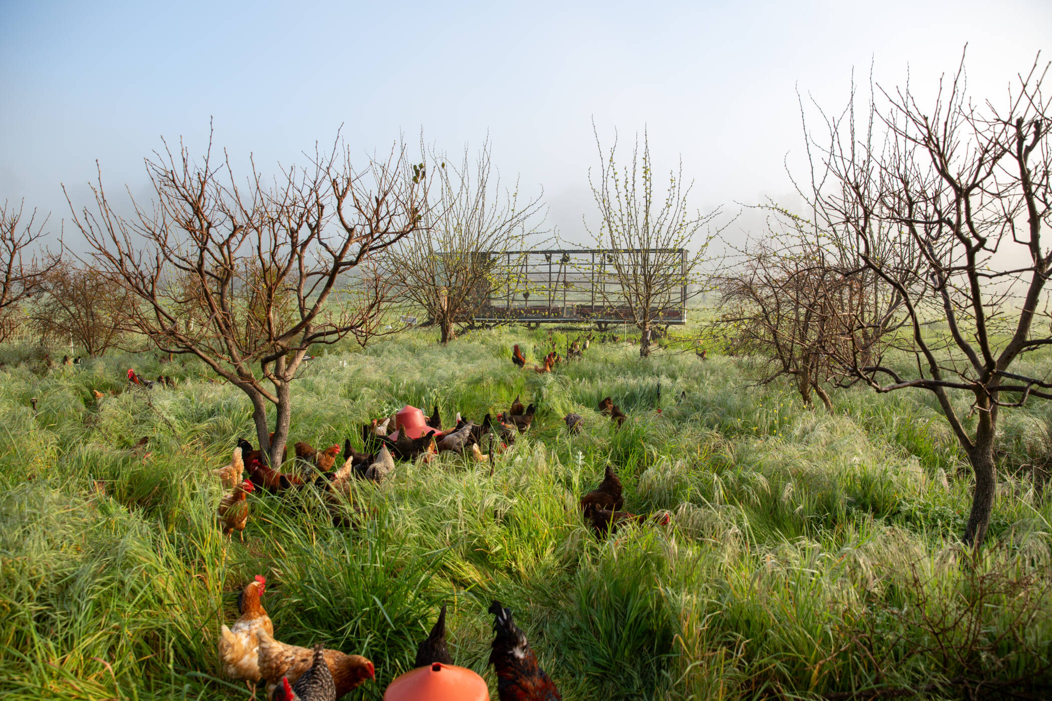 The Biggest Little Farm Curriculum - Rodale Institute