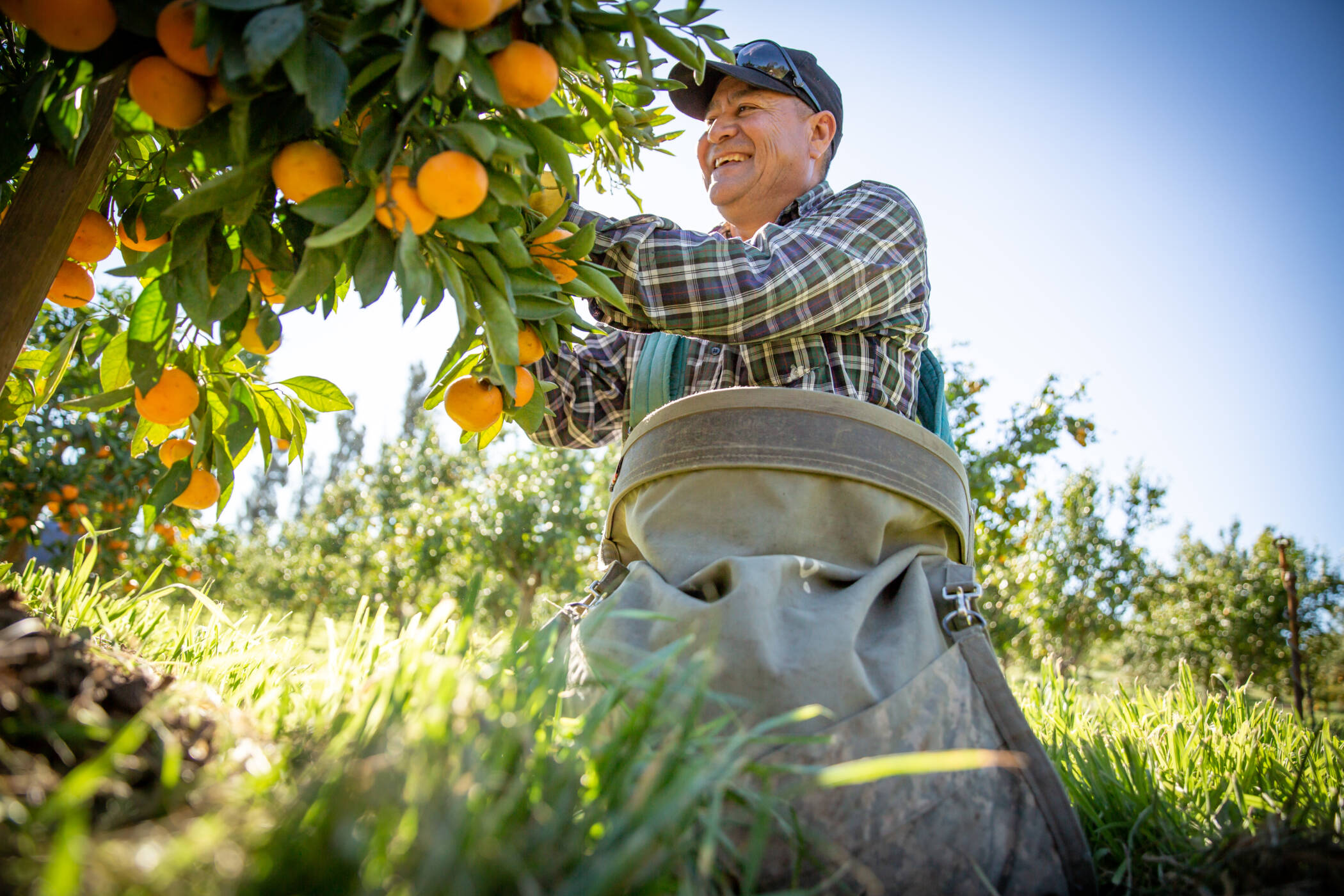 The Biggest Little Farm Curriculum - Rodale Institute
