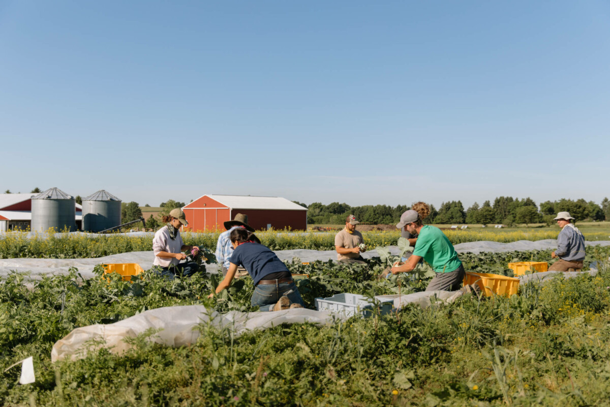 Transition to Organic Symposium - Rodale Institute