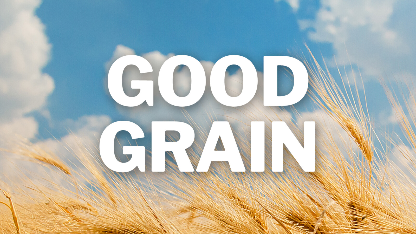 GOOD GRAIN Film Screening - Rodale Institute