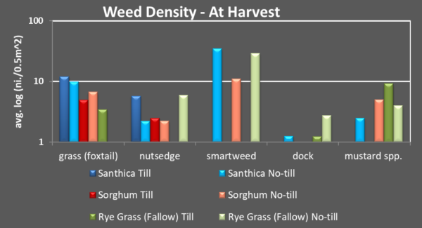 INDUSTRIAL HEMP TRIAL at the Rodale Institute – BioLogix