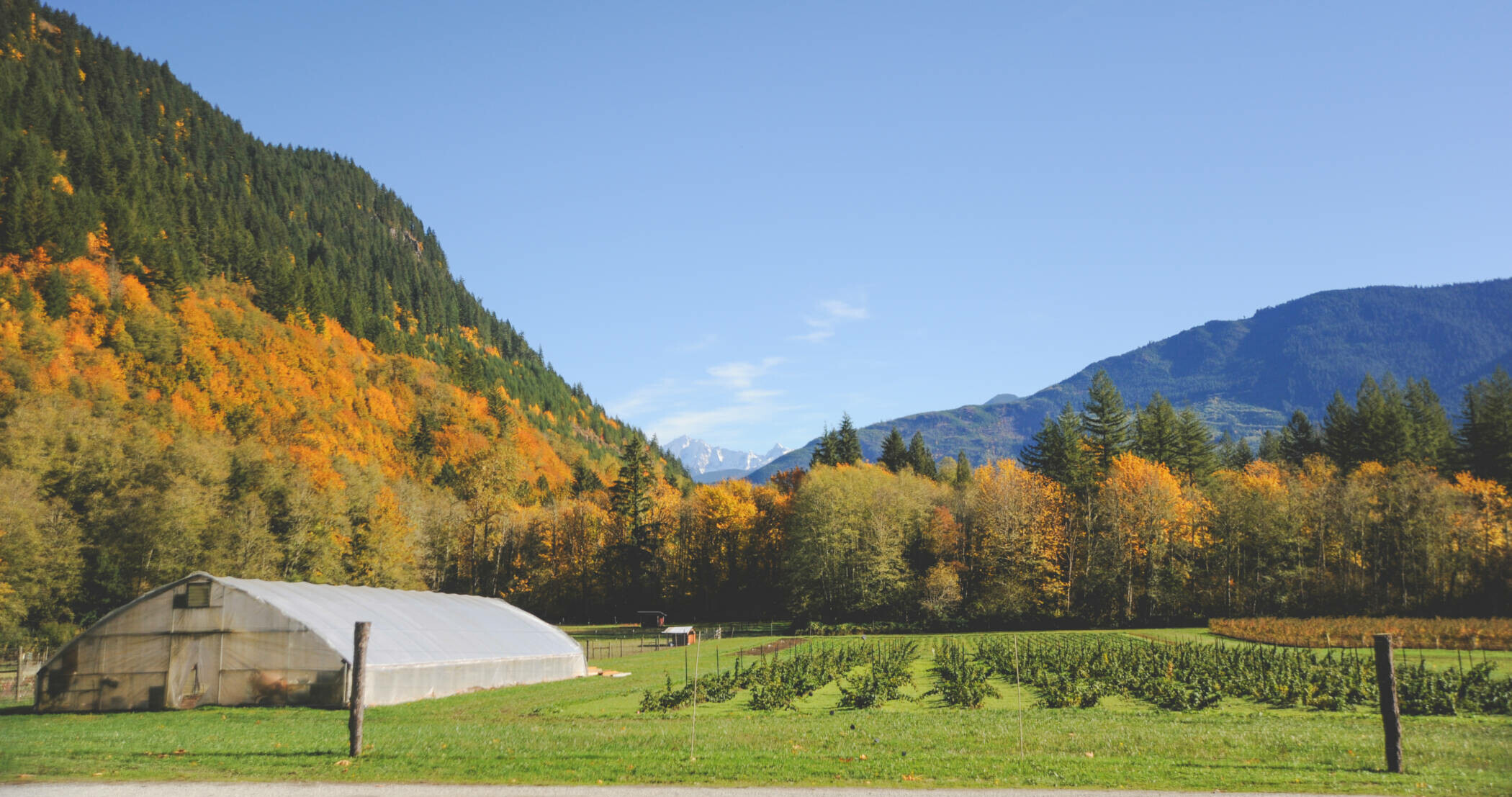 Pacific Northwest Organic Center - Rodale Institute