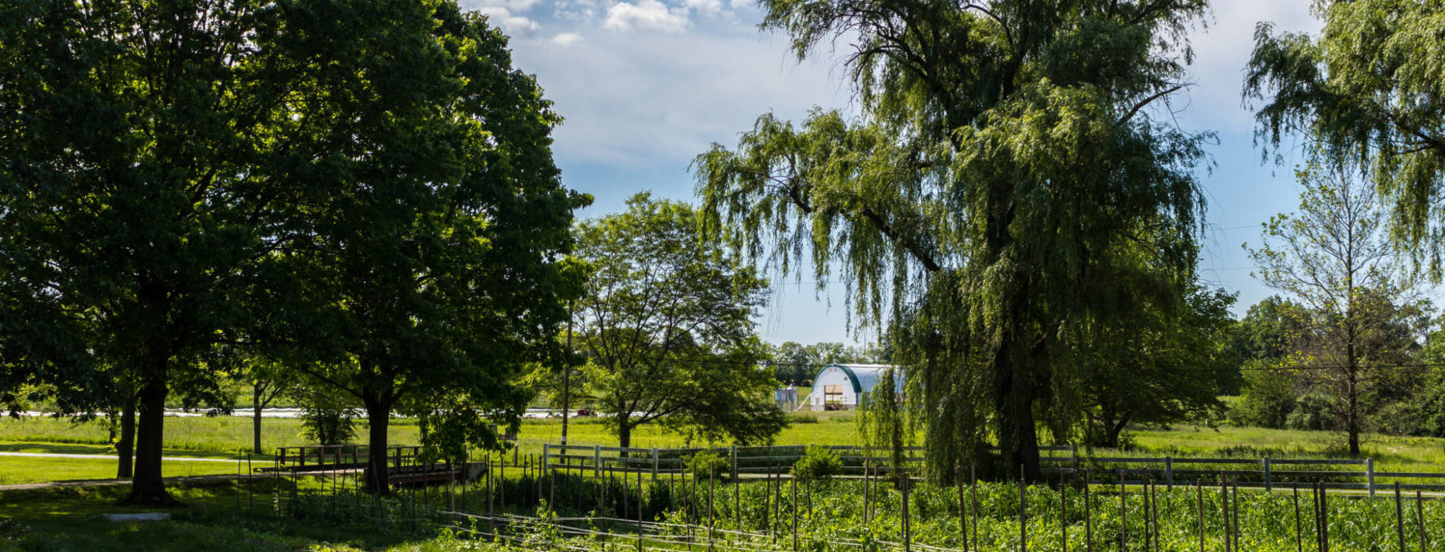 Financials - Rodale Institute