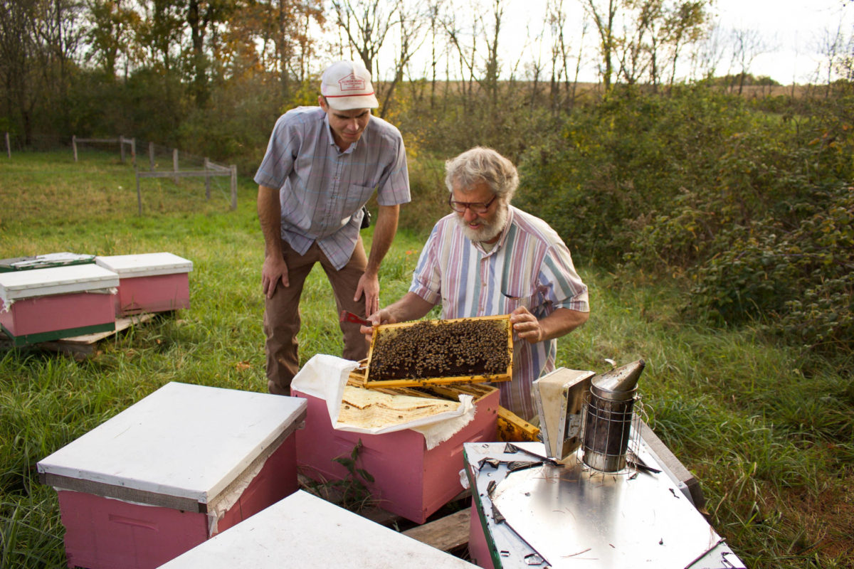 Six Questions to Ask Your Beekeeper - Rodale Institute