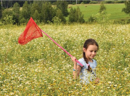 3 Ways to Monitor Insect Populations on Your Farm - Rodale Institute