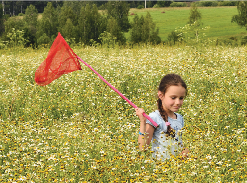 3 Ways to Monitor Insect Populations on Your Farm - Rodale Institute