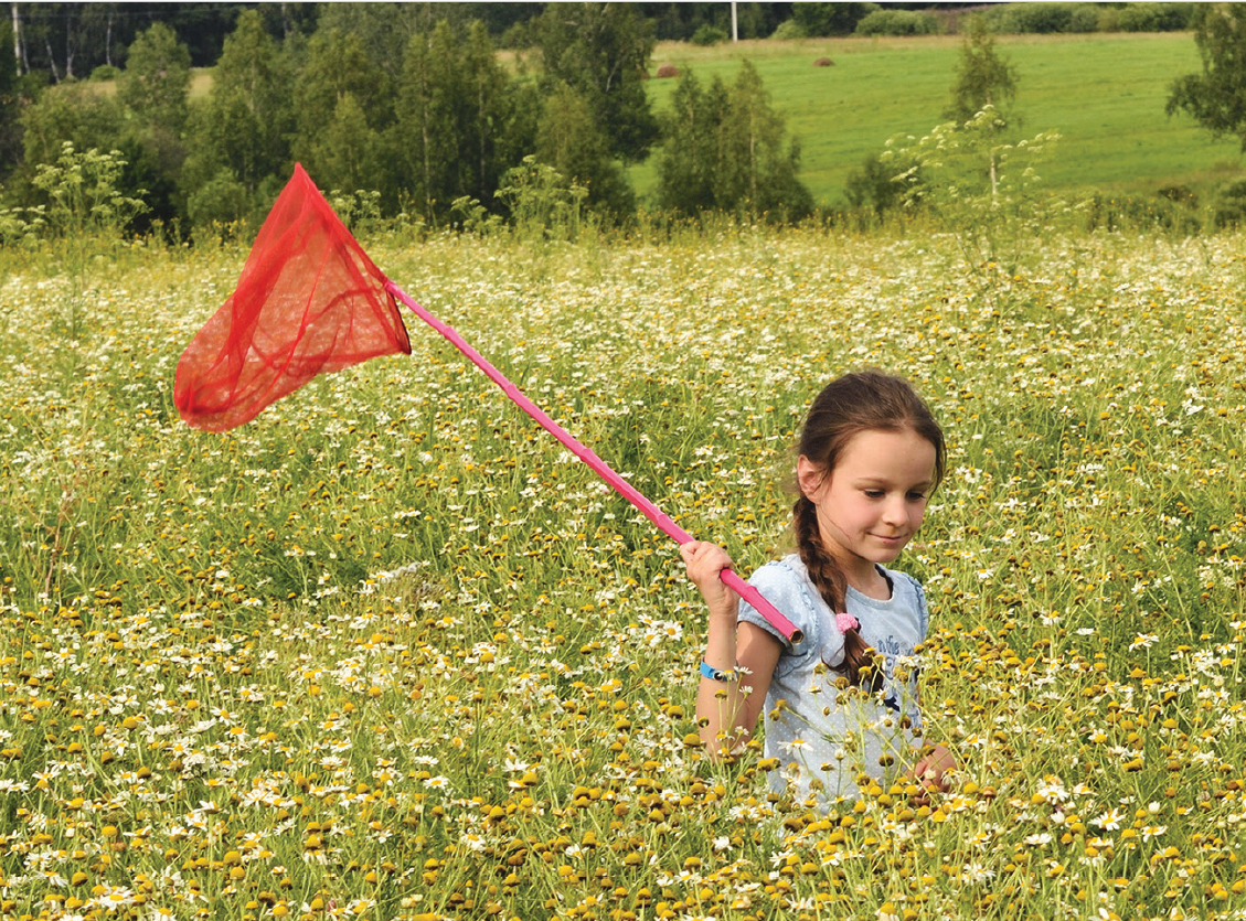 3 Ways to Monitor Insect Populations on Your Farm - Rodale Institute