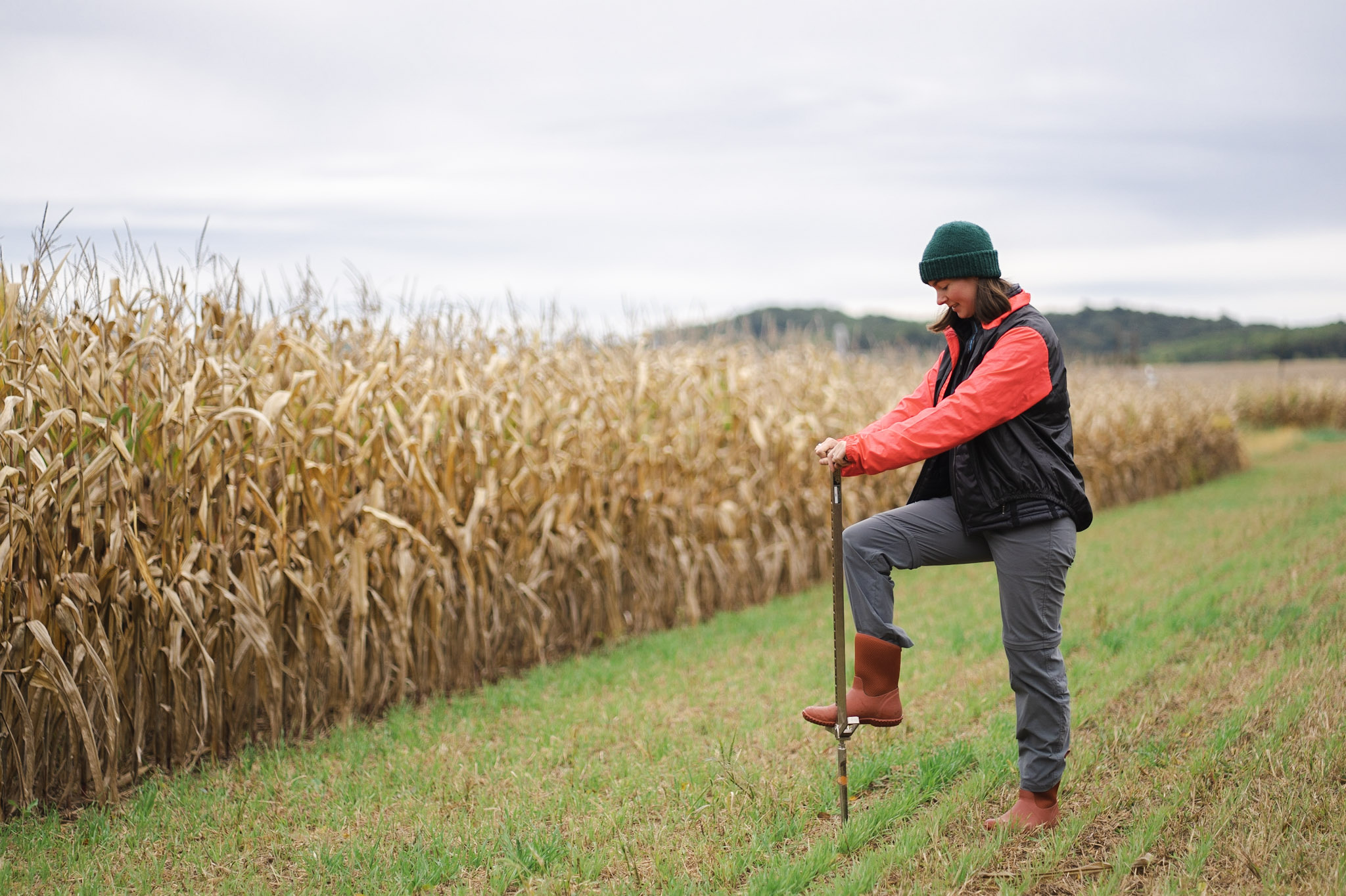 Seasonal Farm Internship, Midwest Organic Center - Rodale Institute