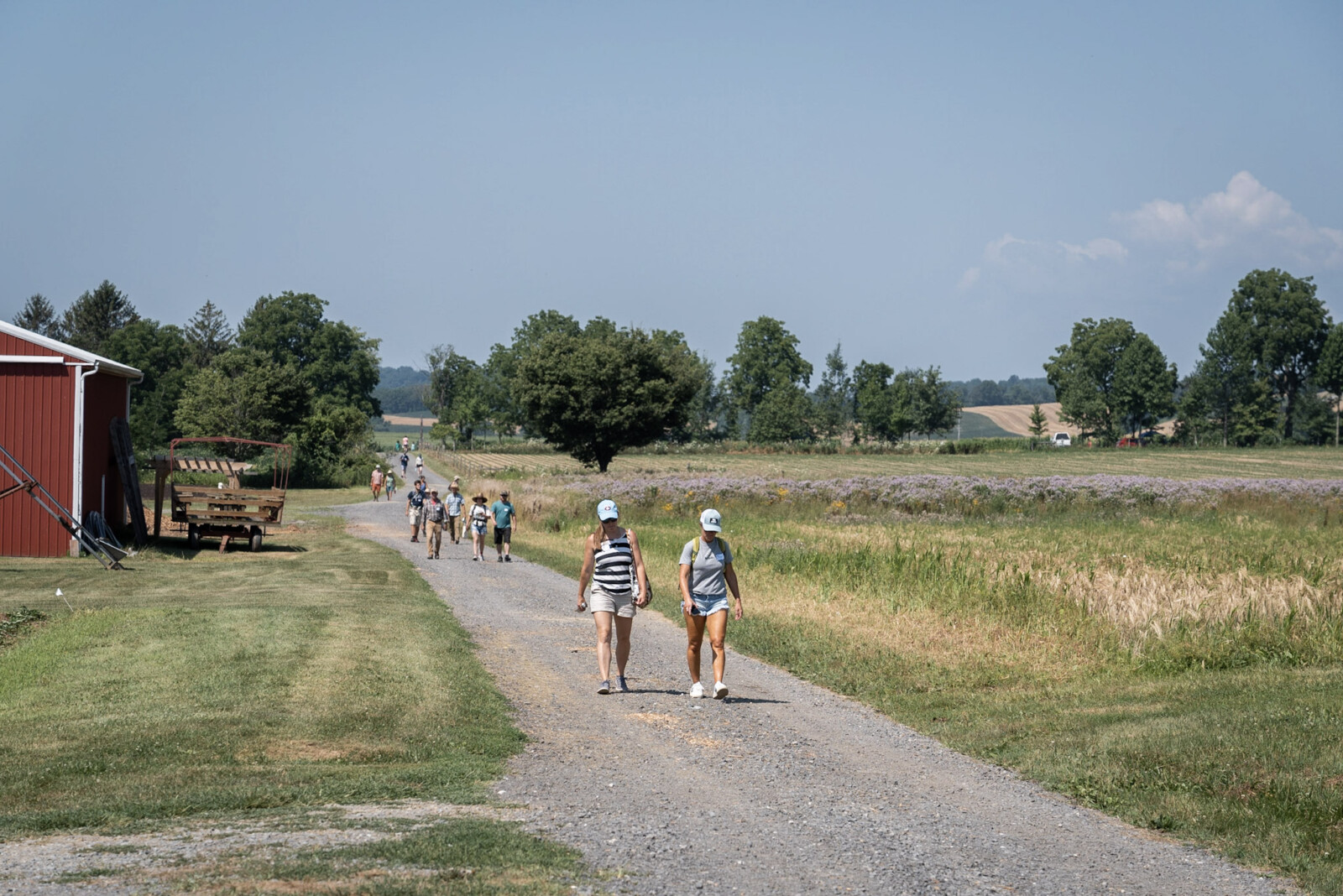 Guided Group Tours - Rodale Institute