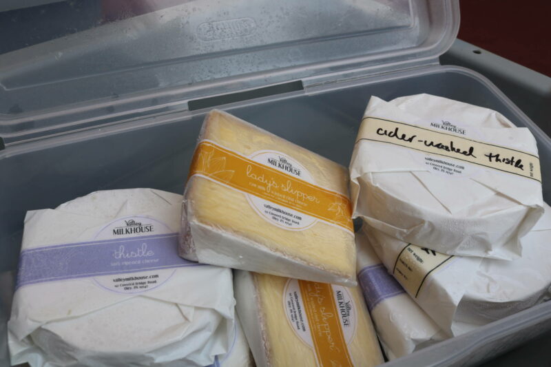 8 Things You Didn’t Know If You Could Compost (But Were Too Afraid To ...