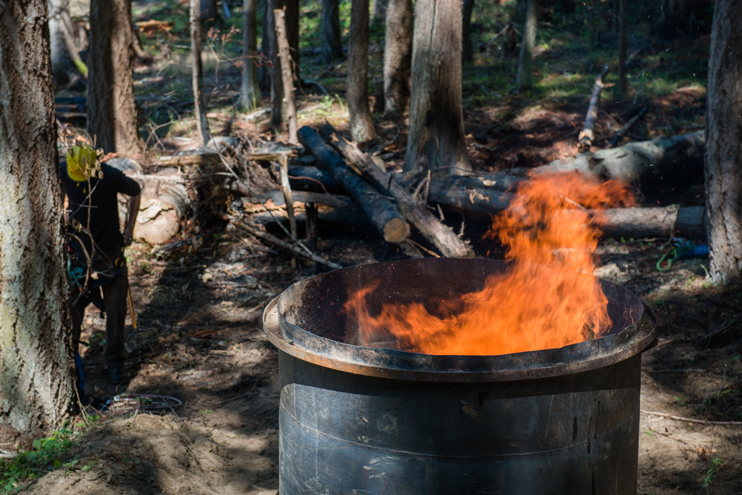 What's Biochar? How to Stabilize Carbon in Your Soil - Rodale Institute
