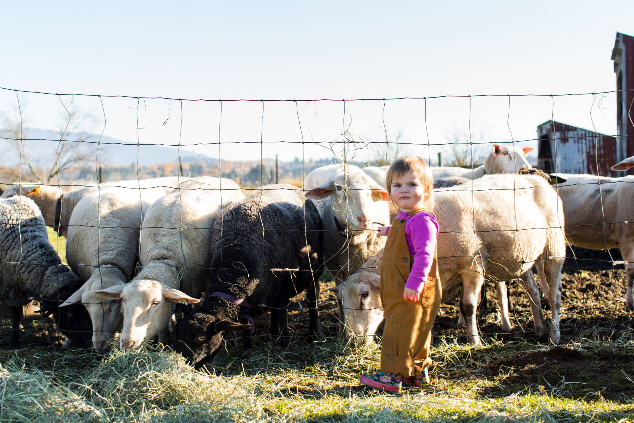 Seeking Harmony: First-Generation Farmers Share Wisdom