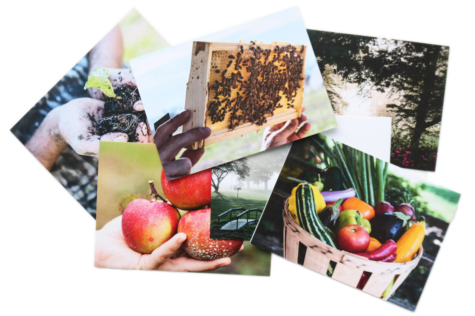 Take A Stand - Rodale Institute