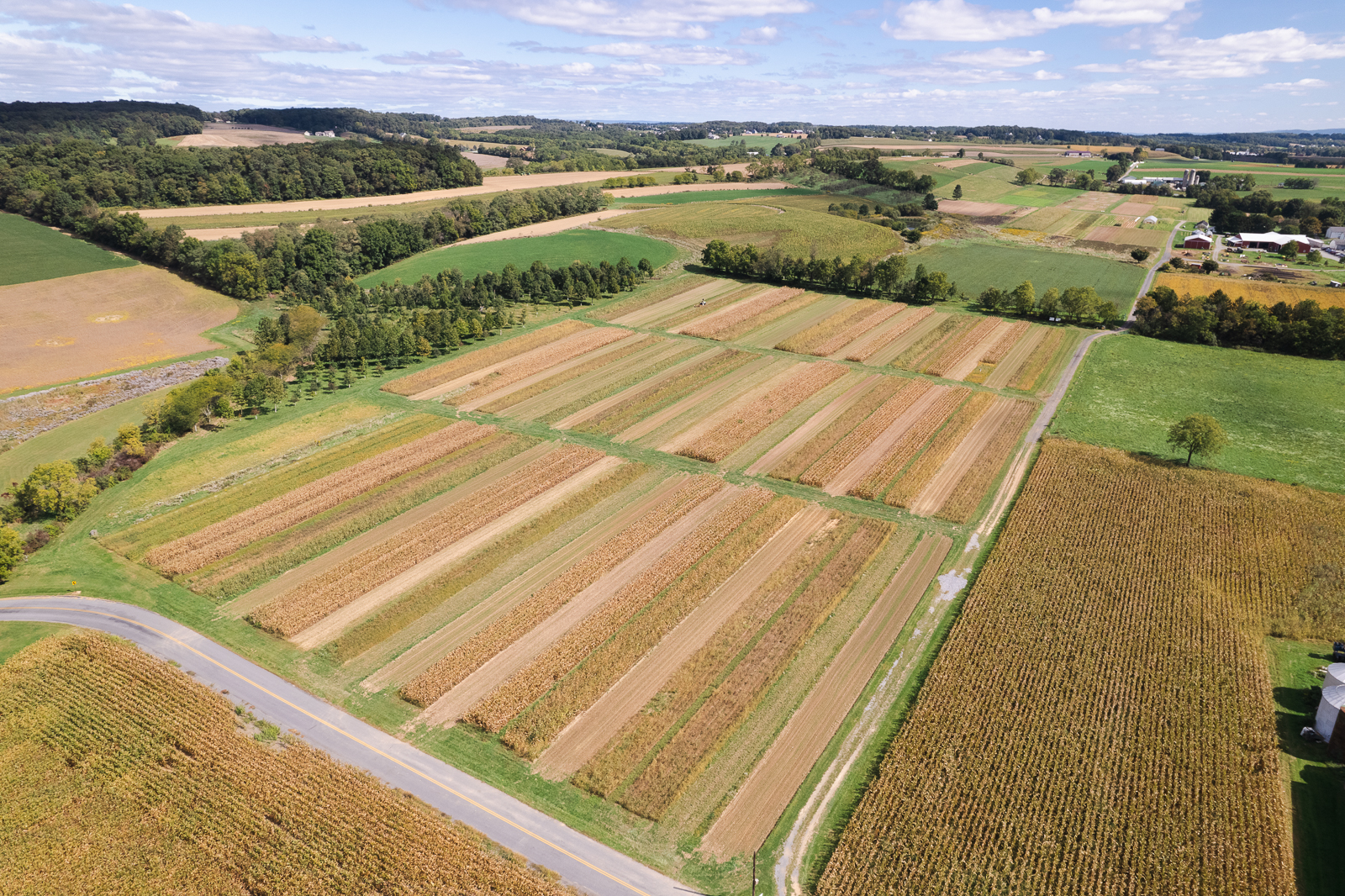 New Research Reveals Organic Agriculture Produces Higher Crop Yields ...