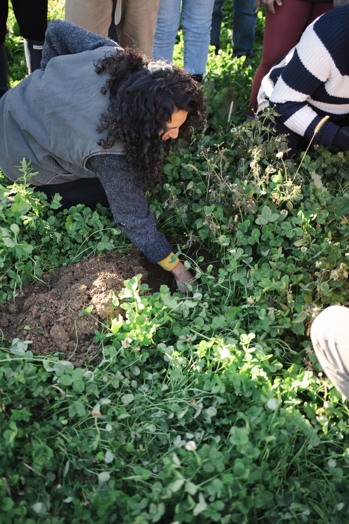 Rodale Institute Holds Inaugural Regenerative Healthcare Conference to ...