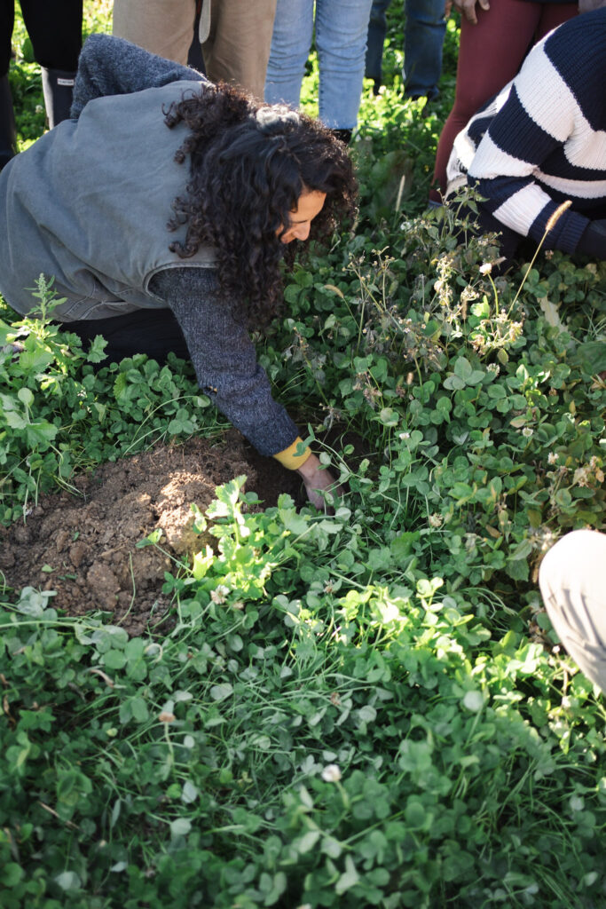 Rodale Institute Holds Inaugural Regenerative Healthcare Conference to ...