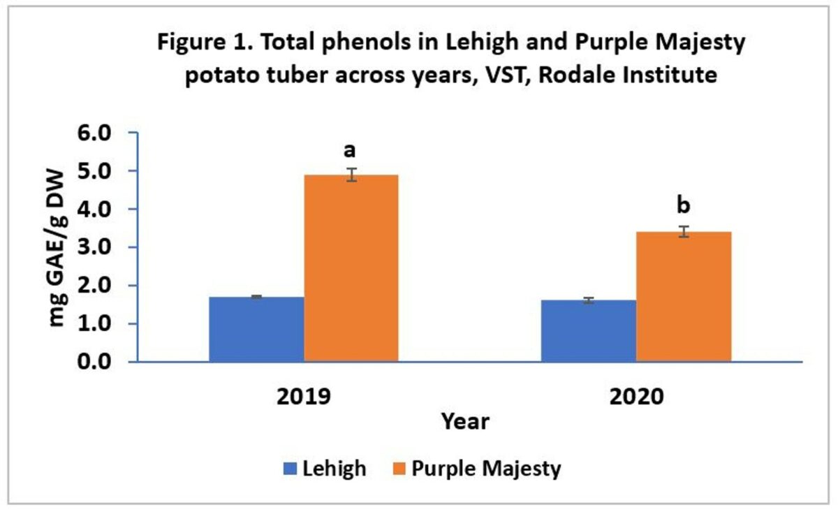 Variation of Total Phenolics in Lehigh and Purple Majesty Potato ...