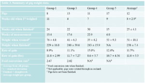 Pastured Pork - Rodale Institute