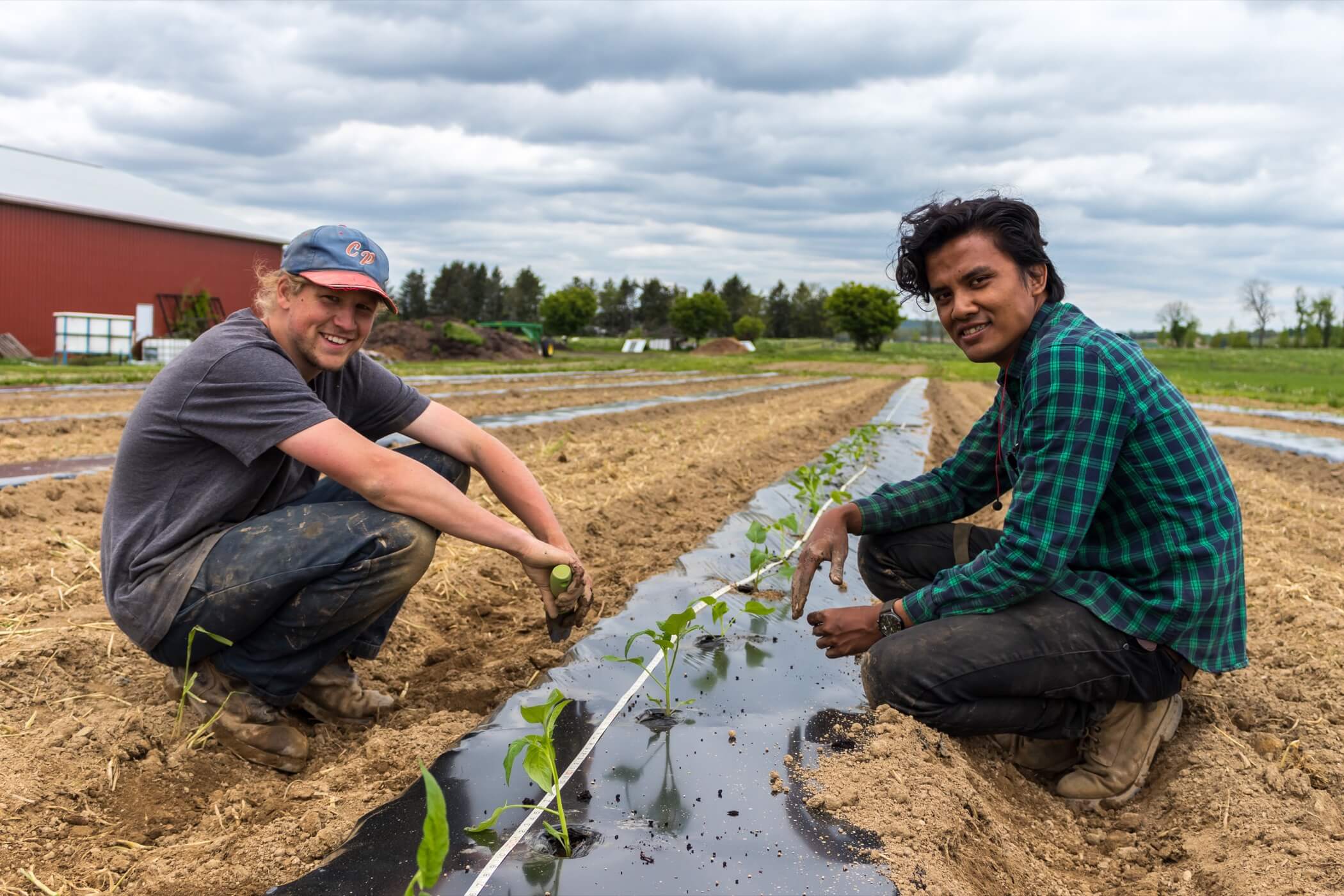 Volunteer - Rodale Institute