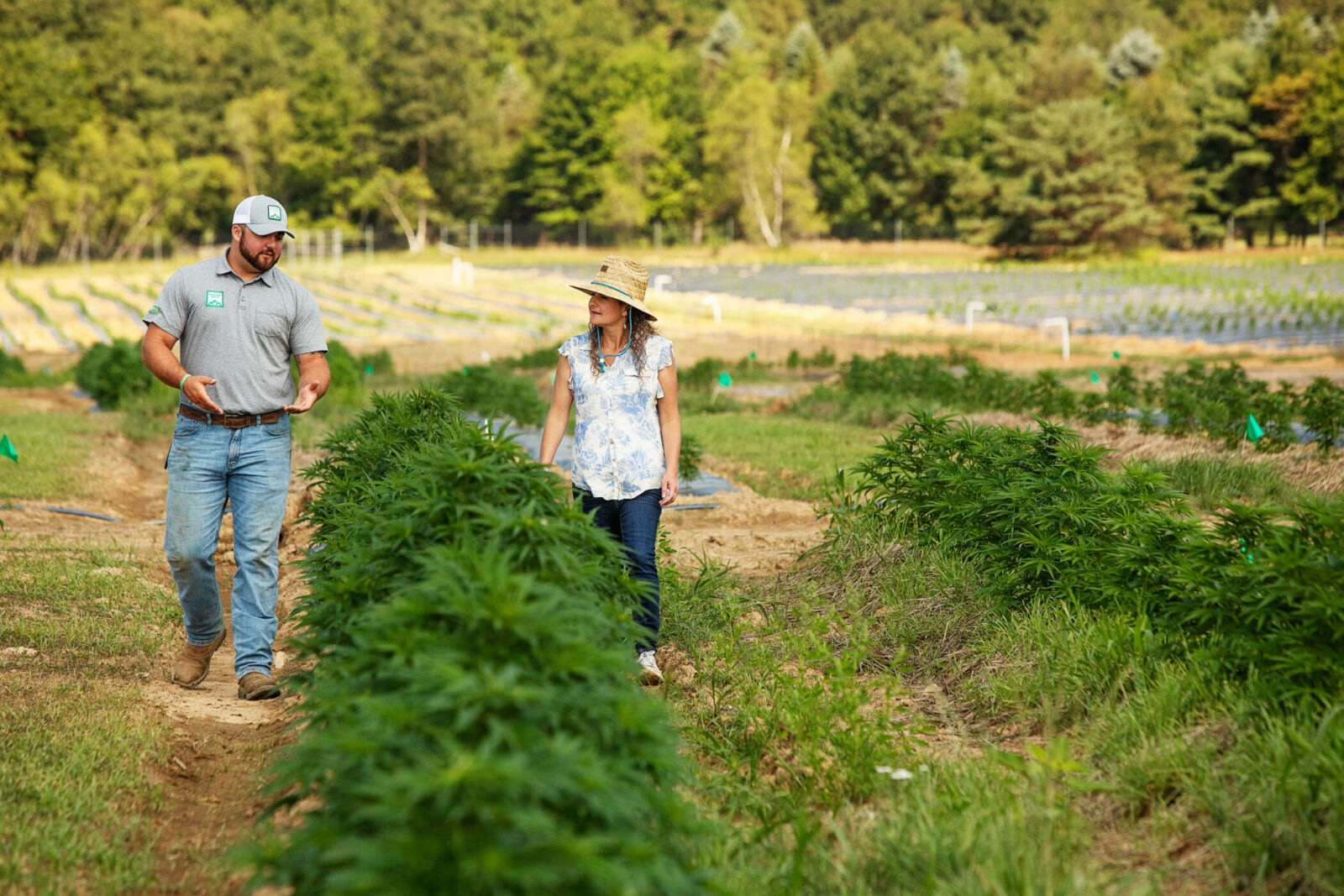 9 Announcements You May Have Missed at Rodale Institute