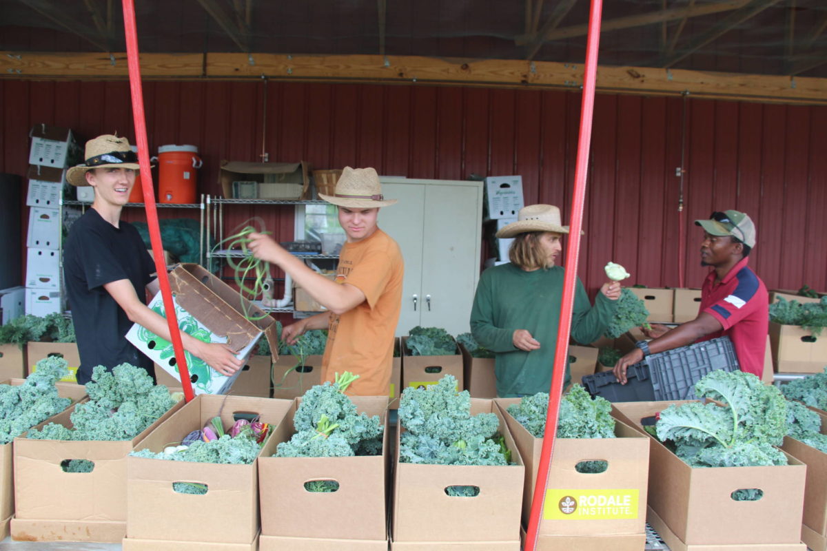 The History of Community Supported Agriculture - Rodale Institute