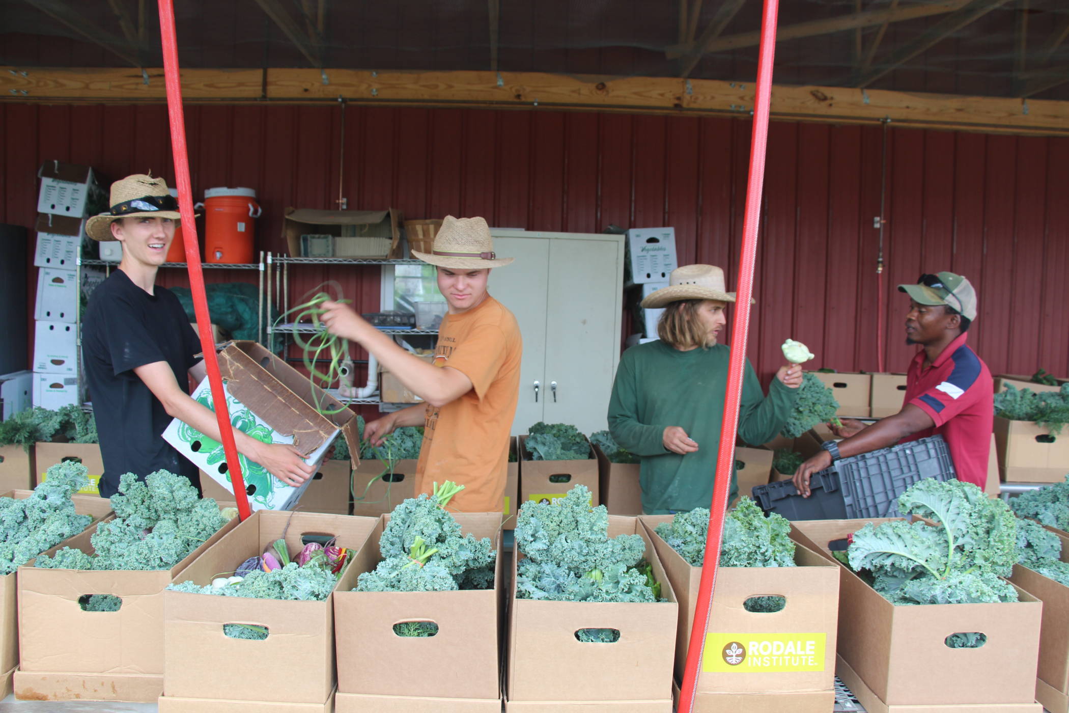The History of Community Supported Agriculture - Rodale Institute