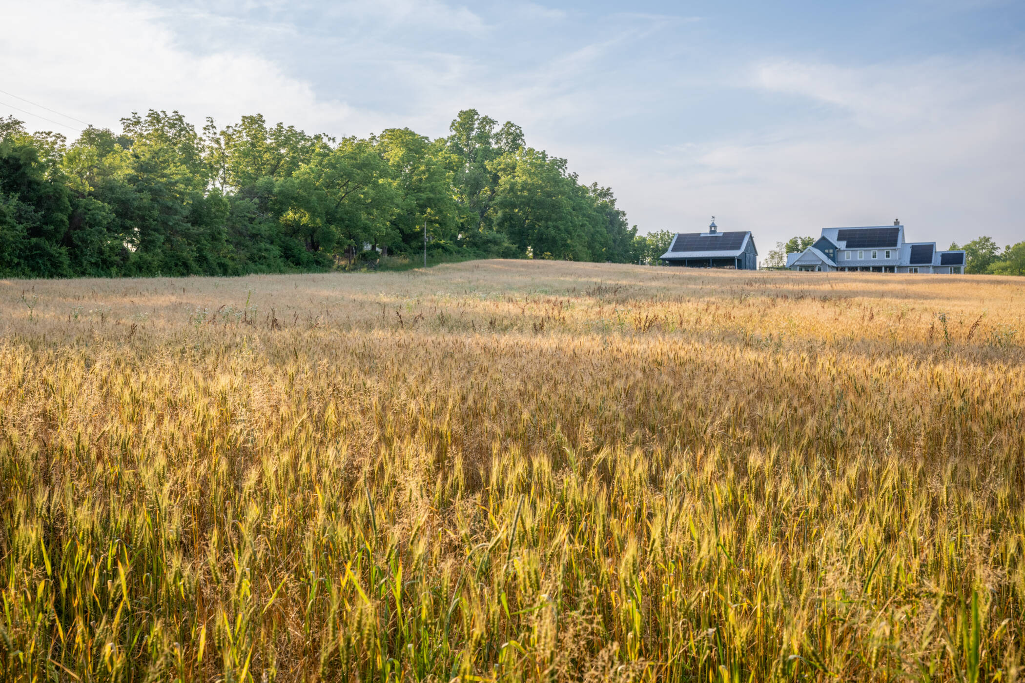 Seeding the Future: A Farmer Story - Rodale Institute