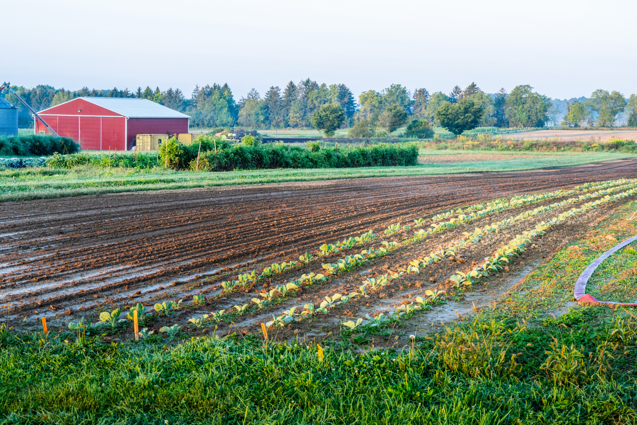 Next Generation - Rodale Institute