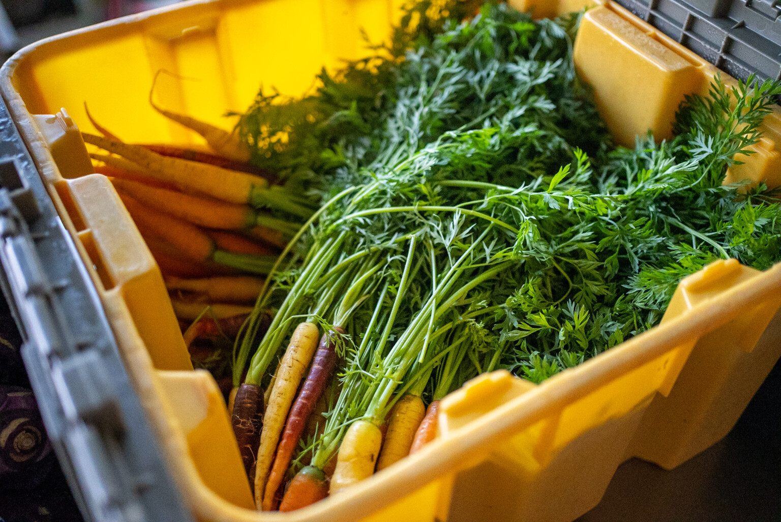 Voies durables : Renforcer la chaîne d'approvisionnement en produits ...