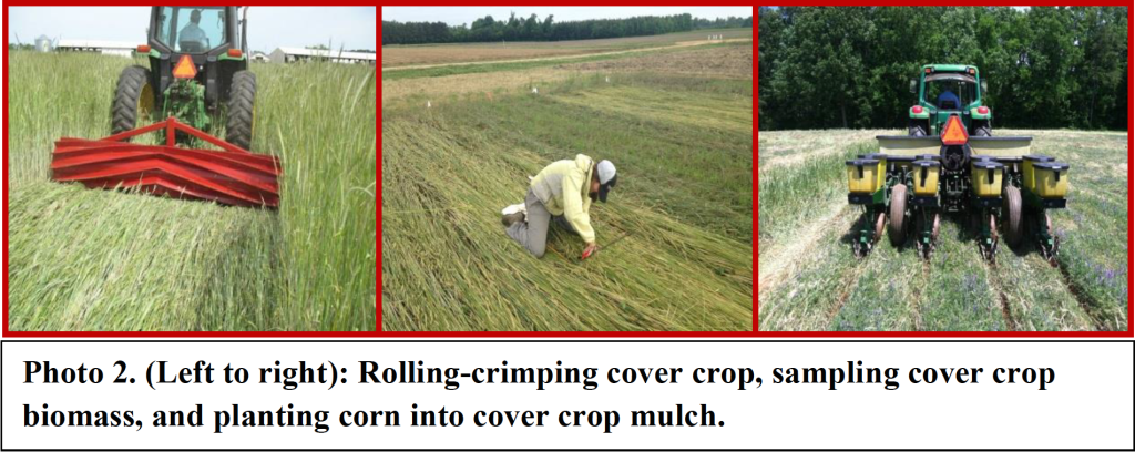 Using Pelletized Starter Fertilizers to Improve Corn Yields in Reduced ...